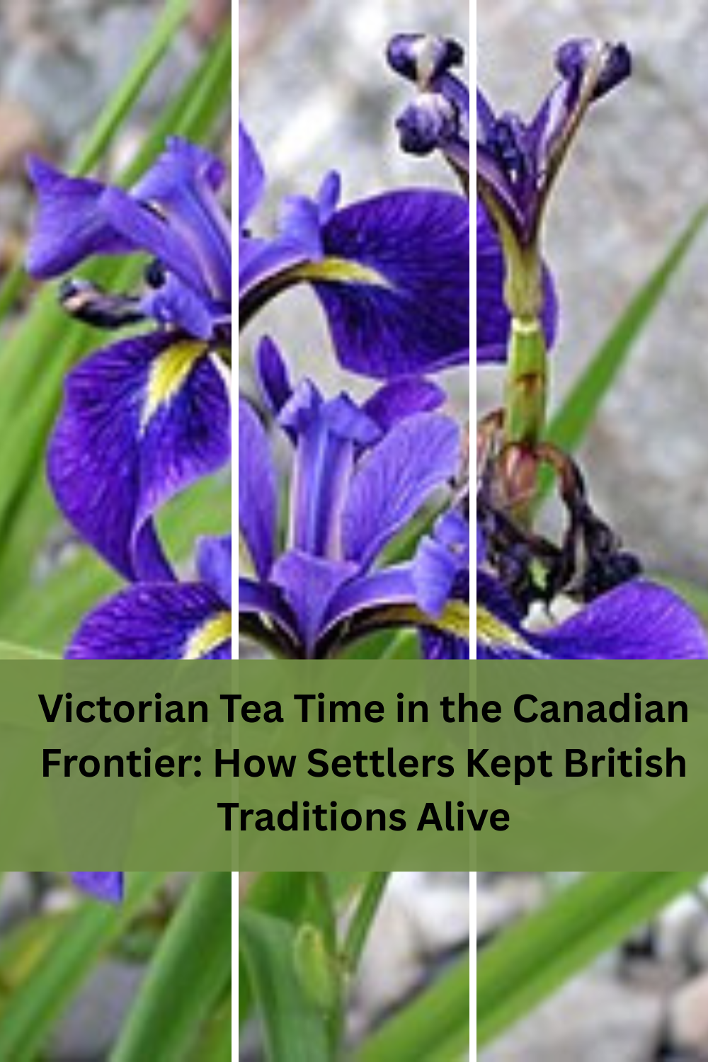 Victorian Tea Time in the Canadian Frontier